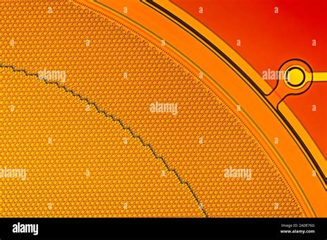 Infineon MEMS MicroElectroMechanical System Microphone Wafer MEMS Microphones Are Installed