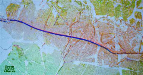 Marine Spatial Planning Reducing Barriers To Species Movement