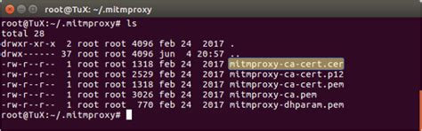 Intercepting Traffic For An Android Application Security Grind
