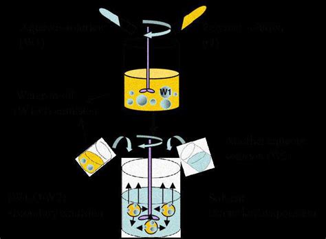 Illustrate The Double Emulsion Method In This Fig Show Prepare Double