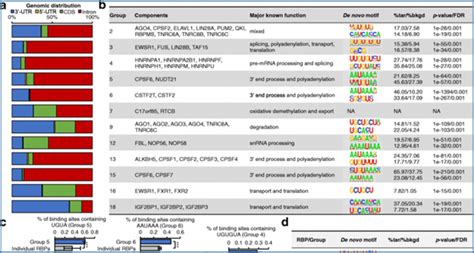 Identification Of High Confidence RNA Regulatory Elements By Combinatorial Classification Of RNA