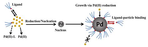 Ligand Mediated Nucleation And Growth Of Palladium Metal Nanoparticles