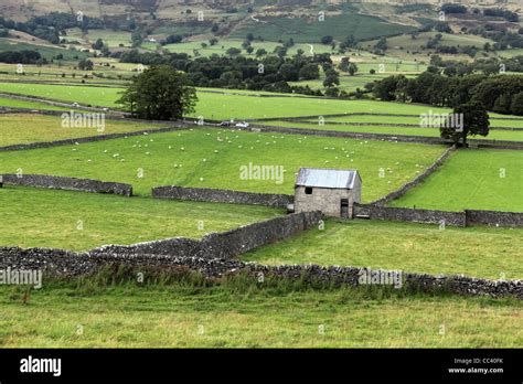 Small Stone Barn In A Field With Dry Stone Walls Derbyshire Peak