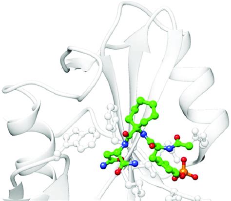 Structure Of Sh2 Domain Of The Grb2 Grey Bound To A Designed Download Scientific Diagram
