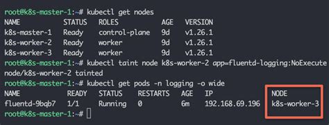 【云原生 k8s系列】kubernetes daemonset，全面指南 csdn博客