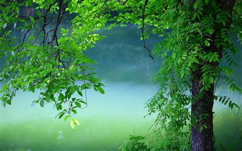 Free Small 4k Wallpapers And Desktop Hd Backgrounds For Pc