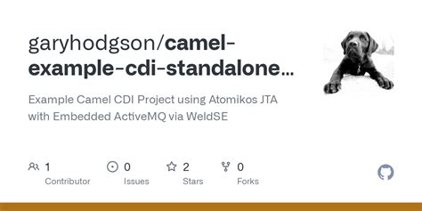 Github Garyhodgsoncamel Example Cdi Standalone Jta Example Camel Cdi Project Using Atomikos