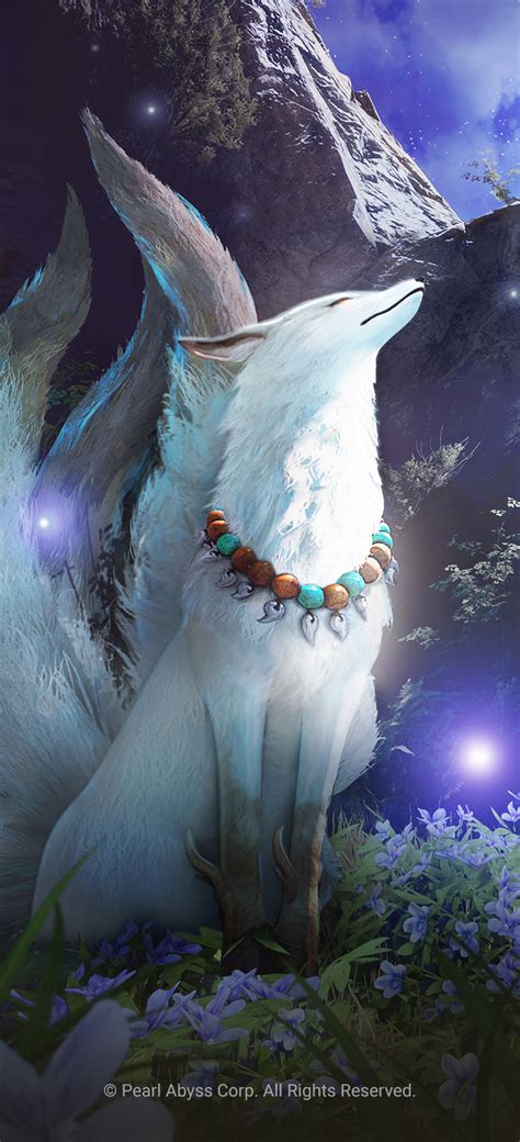 [스크린샷 And 영상] [배경화면] 구미호 검은사막 한국