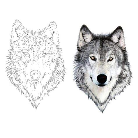 Wolf Tattoo Stencil Printable Printable Free Templates