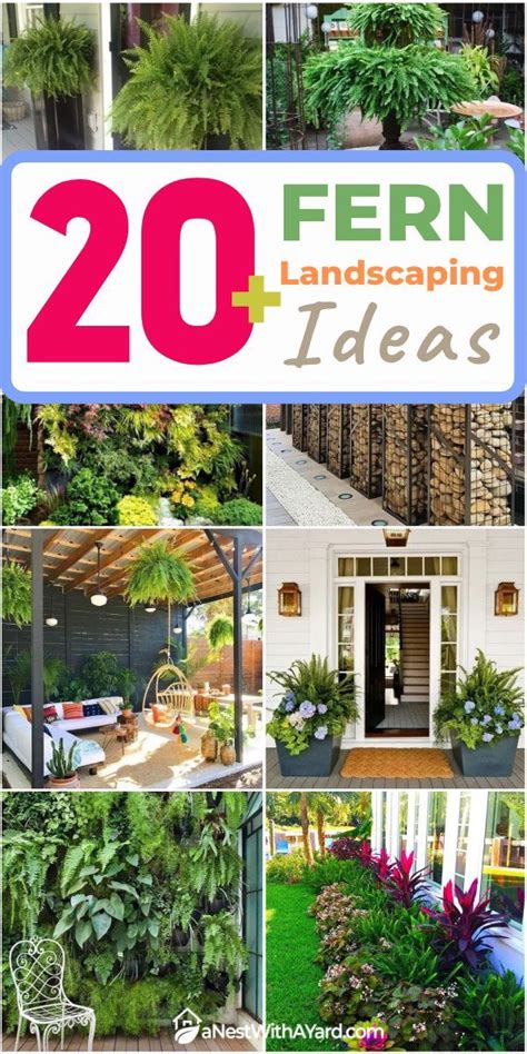 Are You Bored With All The Cliche Landscaping Ideas Take A Look At My Fern Landscaping Ideas