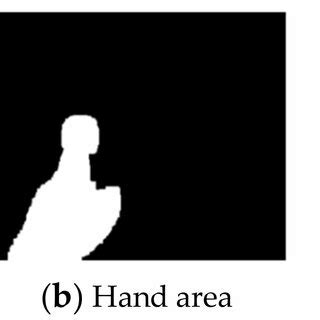 Images Of Touch Area And Hand Area And Their Positional Relationship Download Scientific Diagram