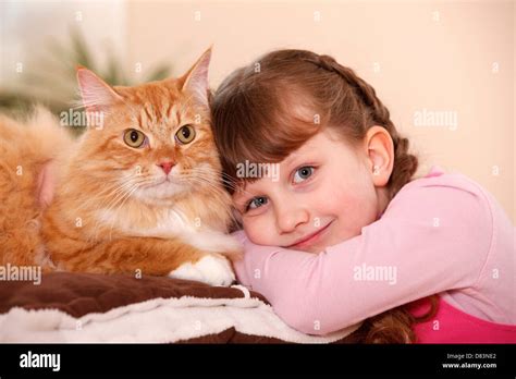 Girl With Siberian Cat Stock Photo Alamy