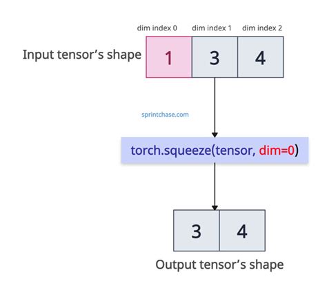 how to squeeze and unsqueeze a tensor in pytorch