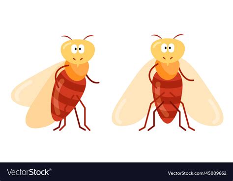 Cartoon Character Cicada In Full Face And Profile Vector Image