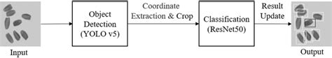 Flowchart For The Detection Of Multiple Abnormal Objects Download