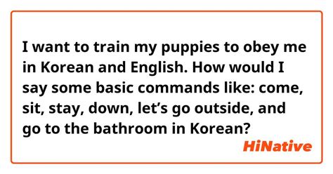I Want To Train My Puppies To Obey Me In Korean And English How Would I Say Some Basic Commands