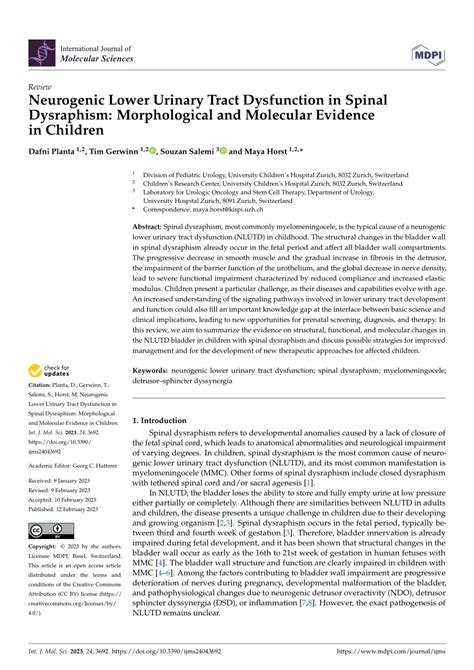 Pdf Neurogenic Lower Urinary Tract Dysfunction In Spinal Dysraphism Morphological And