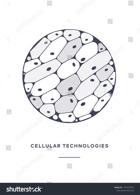 Vector Line Illustration Human Cell Tissue Stock Vector Royalty Free