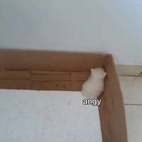 Sticker Maker Meow Meow Pikachu！ Part 5