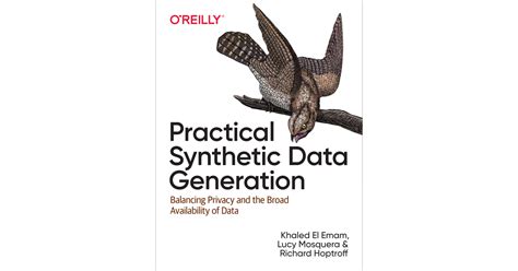 Practical Synthetic Data Generation Book