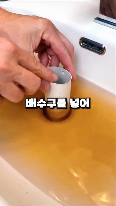 우리 집을 부탁해 Youtube