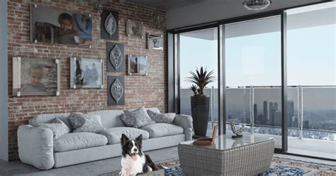 Border Collie Temperament Explained Unveiling The Top Secret 7 Key Traits Border Collies Life