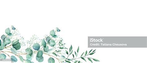 꽃 수채화 배너입니다 녹색 유칼립투스 피스타치오 및 Gypsophila 가지가 흰색 배경에 격리되어 있습니다 소박한 낭만적 인 스타일 꽃 무늬 프레임입니다 카드 청첩장 배너