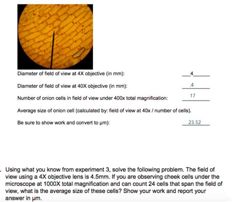 Solved Diameter Of Field Of View At X Objective In Mm Chegg Com