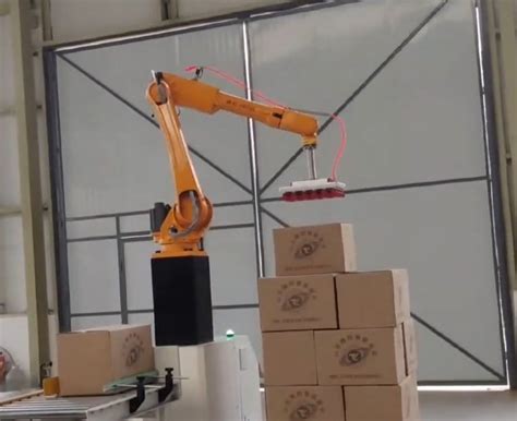 Industry Automatic Palletizer Robot Bag Box Carrying Stacking Palletizing Robot China Handing