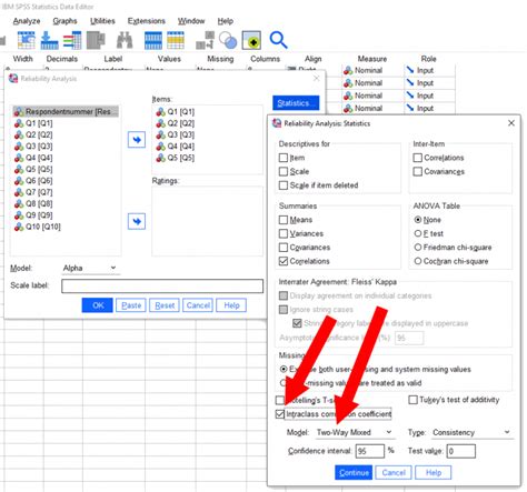 Cronbachs Alpha Spss Myresearchmentor