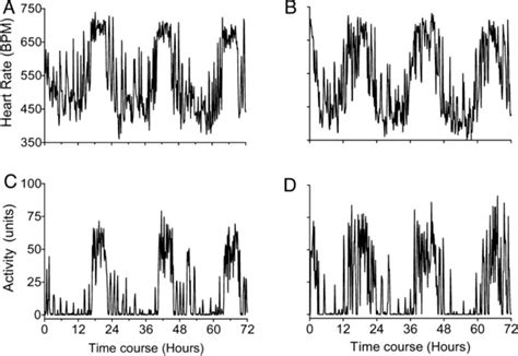 Circadian Rhythms Of Parameters Daily Rhythm In Activity And Heart Download Scientific Diagram
