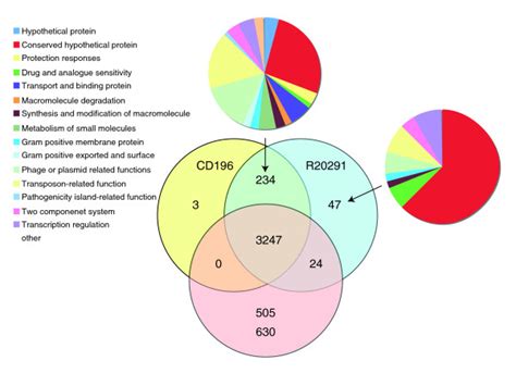 Distribution Of Orthologues Cdss In C Difficile Strains 630 Cd196 And