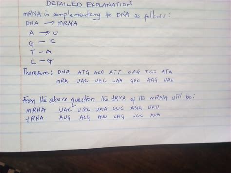 Solved Use The Following DNA Strand To Identify The Complementary MRNA Course Hero