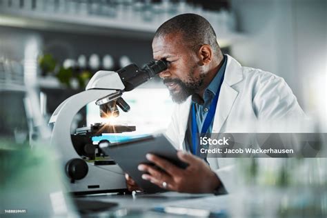 흑인 과학자 현미경 및 식물 실험실 분석 생물 다양성 연구 및 태블릿 Ux를 통한 성장 비전 농업과학 마이크로바이옴 연구 및 미래목표 연구실 연구 실험실에 대한 스톡 사진