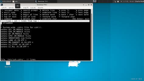 Freebsd安装中文字体和中文输入法freebsd 中文字体 Csdn博客