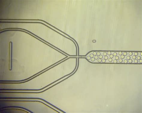 Dolomite Microfluidics On Linkedin Techinnovation Telos Dolomite Microfluidics On Linkedin Techinnovation Telos