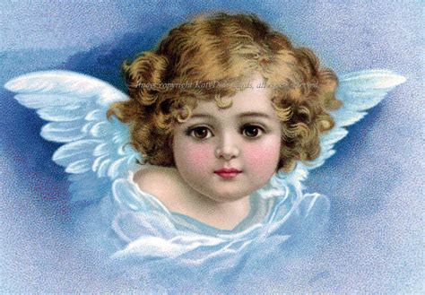 Cherub Angel Wings At Jean Mays Blog