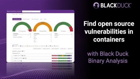 Find Open Source Vulnerabilities In Containers With Black Duck Binary