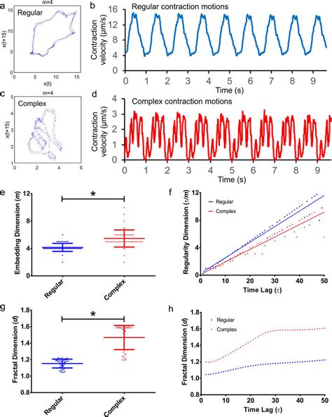 Reconstruction Of Cardiac Motion Waveforms Into Phase Space Download