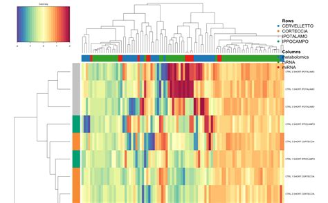 N Integration Output Interpretation Analysis Mixomics User Group