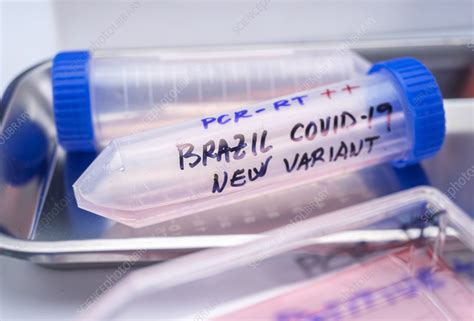 Sars Cov 2 Variant Research Conceptual Image Stock Image F036 4141