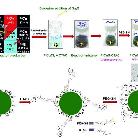 A Schematic Illustration Of Production Of 64 Cu Via The Neutron Download Scientific Diagram