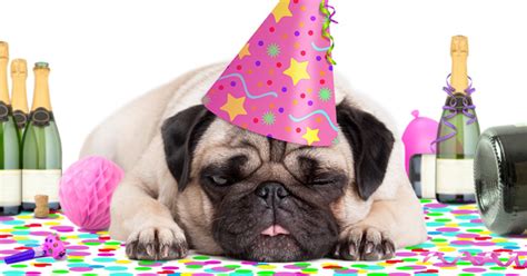 The Beauty Of Cbd For A Hangover Blog Simply Whim®