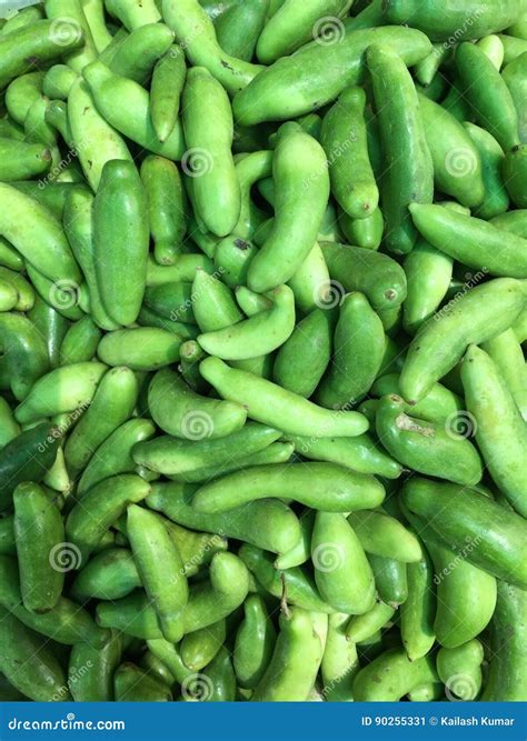 Pointed Gourd Parwal Stock Image Image Of Vibrant Vegetablepointed