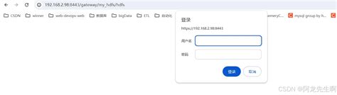 【hadoop】hadoop安全之knox网关 apache knox csdn博客