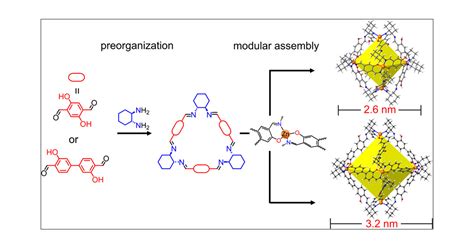 Self Assembly Of Chiral Porous Metalorganic Polyhedra From👆
