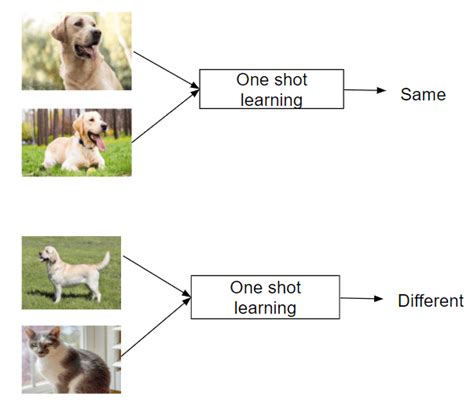 Demonstration Of One Shot Learning Technique Download Scientific Diagram
