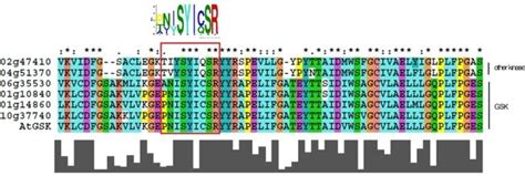 The Sequence Alignment Of Protein Kinase Like Domain Of Homologs Of Download Scientific Diagram