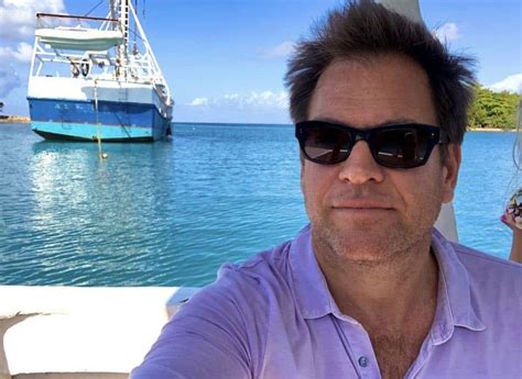 Michael Weatherly Stepped Away For A Moment But Like The Sunset I