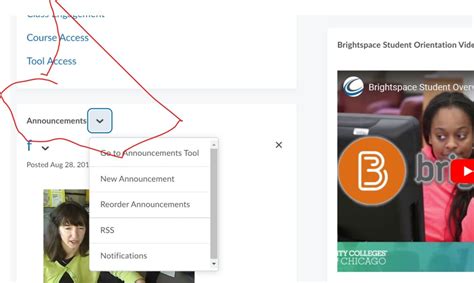 How Do I Create An Announcement Welcome To Brightspace Resources